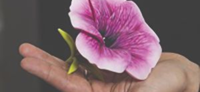 Applications for Multi-Material 3D Printing